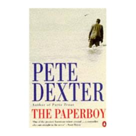 The Paperboy Book The Paperboy Read Aloud Story By Dav Pilkey