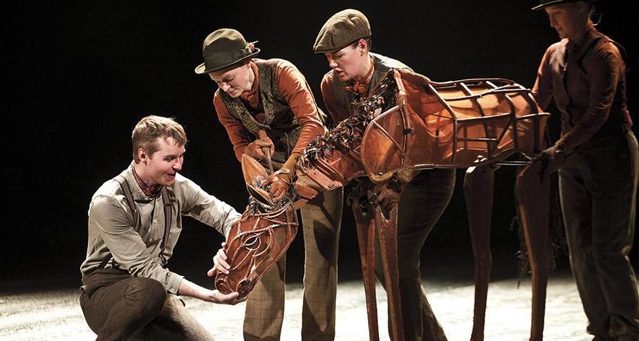 War Horse Play Albert
